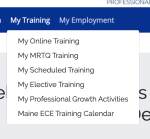 How to Access MRTQ (moodle facilitated) Trainings on the Training Calendar